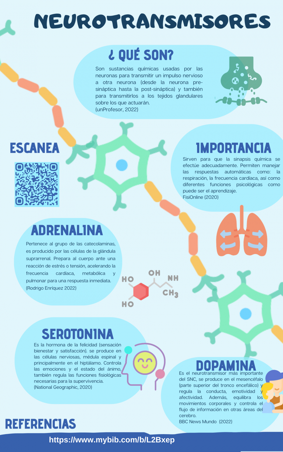 Infografía Neurotrasmisores - WikiLev